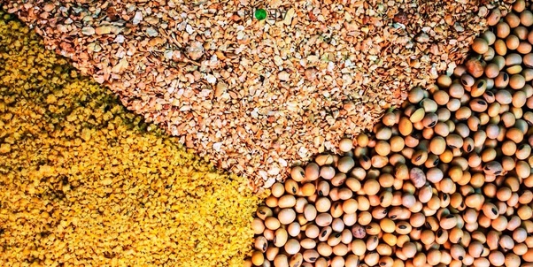 Metode Penyimpanan Pakan Menir Serta Katul Agar Bagus dan Awet - Desa ...